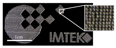 IMTEK-Logo Metall.png — Institut für Mikrosystemtechnik - IMTEK